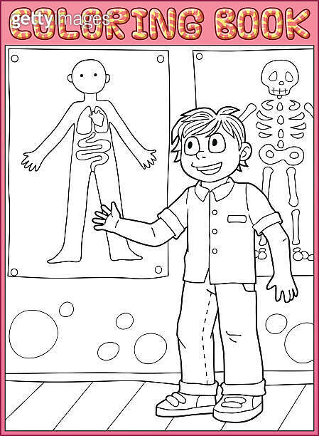 Coloring book page. Schoolboy show structure of the human body ...