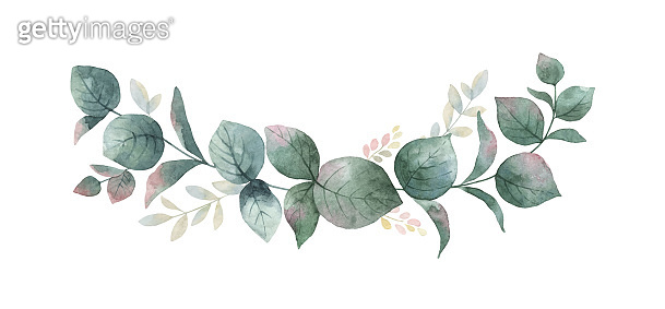 Watercolor vector wreath with green eucalyptus leaves and branches ...