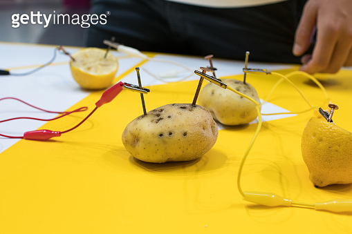 Potato battery STEM activity with potatoes, lemons, alligator clips ...