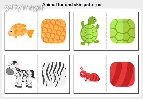 Match the picture animal fur and skin pattern. Worksheet for education ...