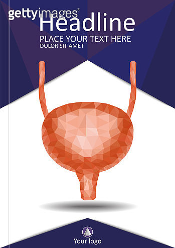 Book cover urinary bladder system with ureter and urethra. Realistic 3d ...