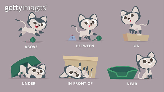 Prepositions. Cat playing with box learning english prepositions on ...