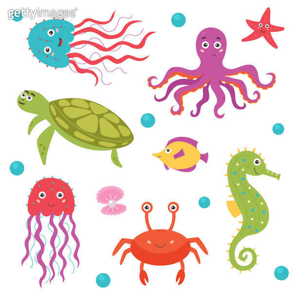 Set of bright sea creatures (1294847813) - 게티이미지뱅크