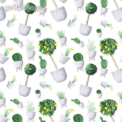 Watercolor potted plants seamless pattern on a white background. Hand ...