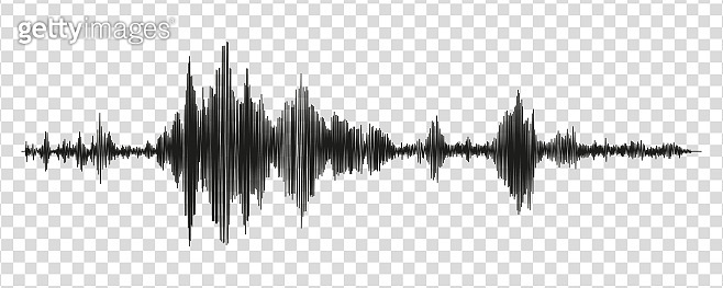 Seismograph Measurement Or Lie Detector Graph Seismic Measurements With Data Record Vector