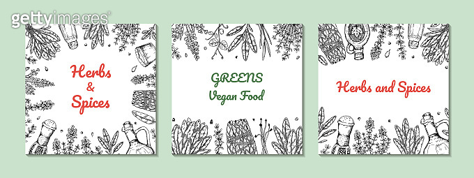 Hand drawn herbs and greens design. Vector illustration (1362982805 ...