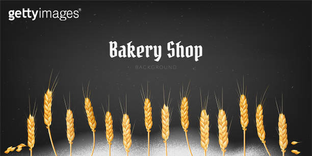 Realistic 3D vector illustration of golden wheat spikes and rye ...