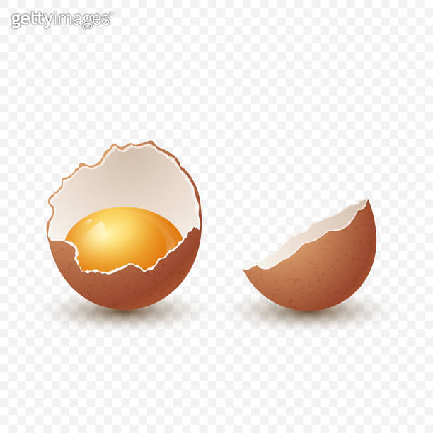 Vector 3d Realistic Brown Chicken Eggs. Textured Broken Chicken Egg, Two Parts, Opened Crack Raw ...