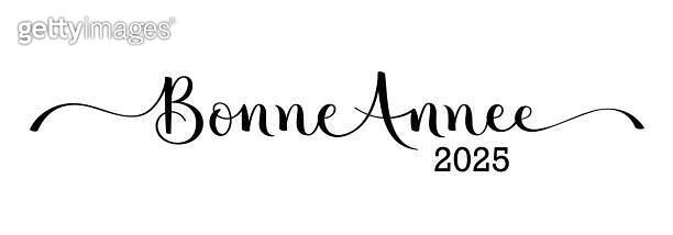 BONNE ANNEE 2025 (HAPPY NEW YEAR 2025 in French) black vector brush ...