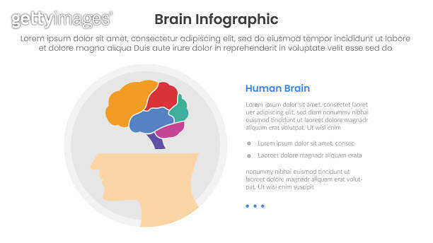 human brain infographic template banner with human brain head from side ...