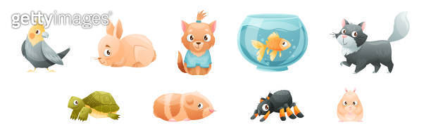 Cute Home Pet Animal with Bird, Rabbit, Dog, Fish, Cat, Turtle, Hamster ...