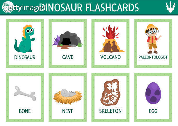 Vector dinosaur flash cards set with volcano, cave, nest, egg. English ...