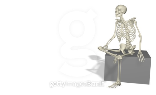 Human skeleton sitting on a box 이미지 (56372391) - 게티이미지뱅크
