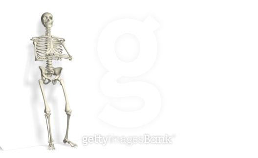 Human skeleton leaning against a wall 이미지 (56372393) - 게티이미지뱅크