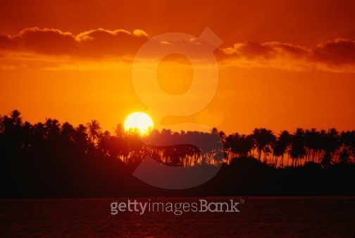 Sunset over tree line, Tahiti 이미지 (200247696-001) - 게티이미지뱅크
