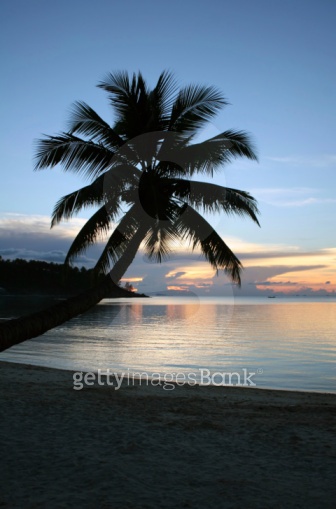 Beach Sunset - Purity 이미지 (92920192) - 게티이미지뱅크