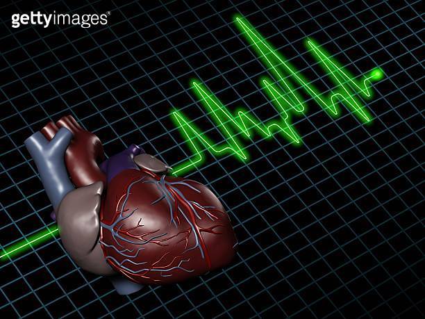 Electrocardiogram (ECG / EKG) with human heart on screen 이미지 (172288989 ...
