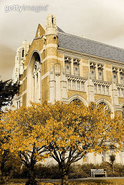 Suzzallo library at the University of Washington 이미지 (173594114) - 게티이미지뱅크