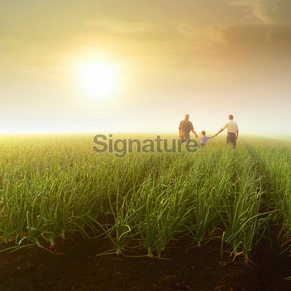 Three generations in farm field 이미지 (135789295) - 게티이미지뱅크