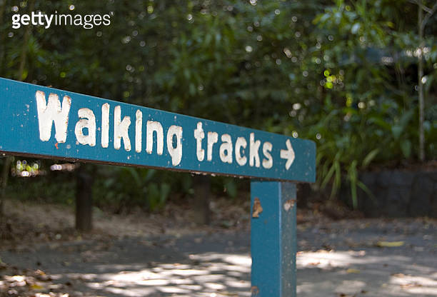 Sign of walking track, Daintree NP, Australia (147290705) - 게티이미지뱅크