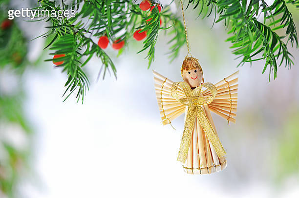 Christmas decoration angel hanging on pine tree 이미지 (184323604) - 게티이미지뱅크