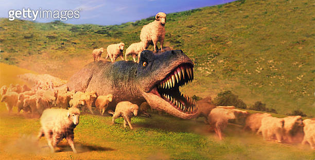 Sheep steps on tyrannosaurus. 이미지 (135756400) - 게티이미지뱅크