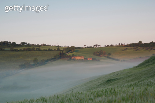Tuscany early morning dusk in valley and farmhouse 이미지 (135940341) - 게티 ...