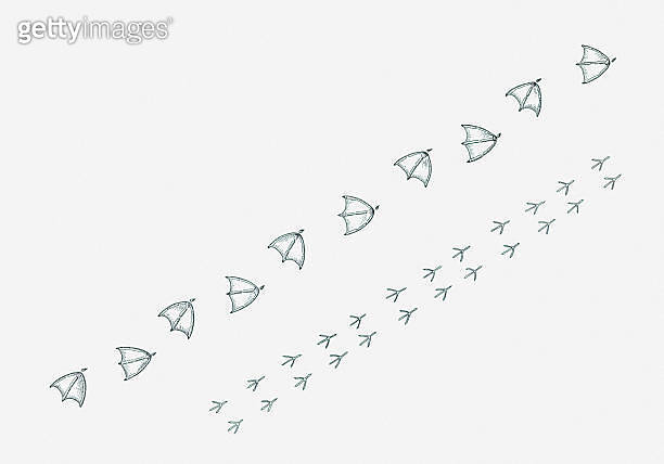 Black and white illustration of Goose walking tracks and Finch hopping ...