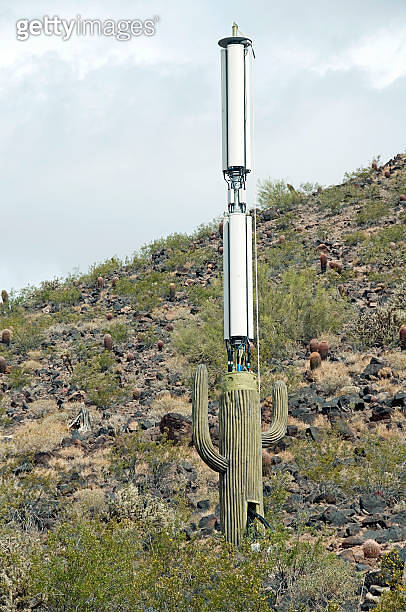 Cell tower under construction disguised as saguaro cactus (171383075 ...