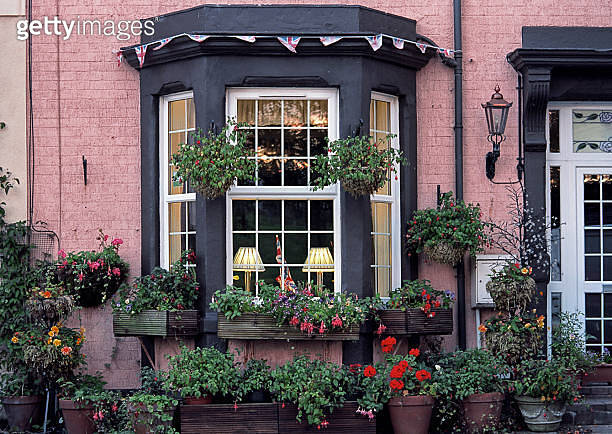 English bay window with plenty of flower pots 이미지 (174784041) - 게티이미지뱅크