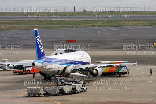 Loading cargo to ANA Airbus A320-200 jet airplane 이미지 (459021373) - 게티이미지뱅크
