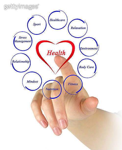 Diagram of health 이미지 (184763789) - 게티이미지뱅크