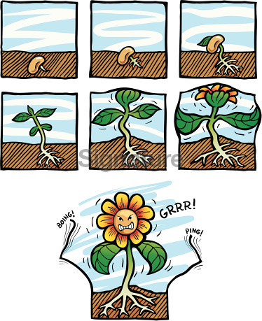 Growth Cycle of an Aggressive Plant 이미지 (165645728) - 게티이미지뱅크
