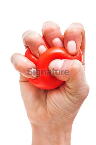 Hand Squeezing Stress Ball 이미지 (188043864) - 게티이미지뱅크