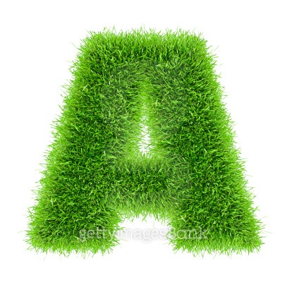 letter of grass alphabet 이미지 (177823741) - 게티이미지뱅크