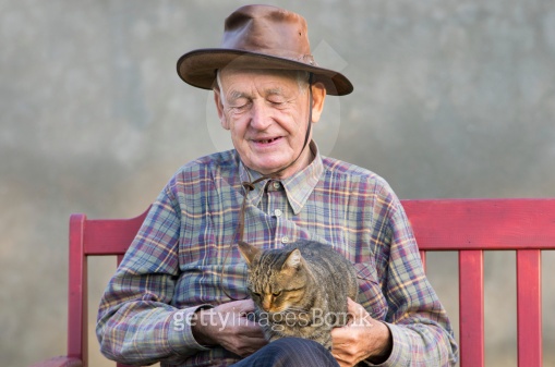 Old man with cat 이미지 (453942511) - 게티이미지뱅크
