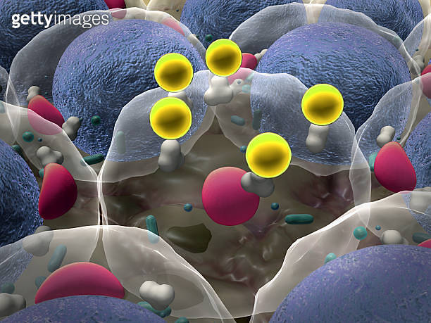 cells, cell structure 이미지 (523578505) - 게티이미지뱅크