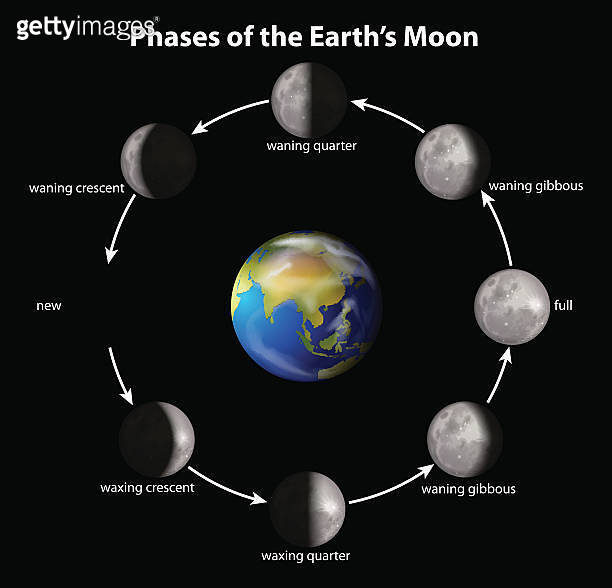 Phases of the Earth's Moon (525331535) 일러스트, 무료 일러스트 - 게티이미지뱅크