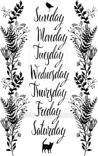 Calligraphy Days of the week, flowers, cat and bird (469587469) 일러스트 ...