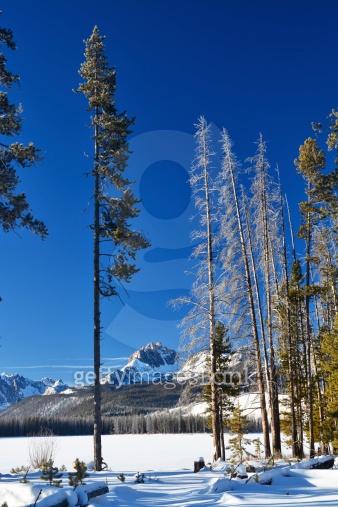 Mountain lake in Idaho frozen and covered with snow 이미지 (466059393 ...