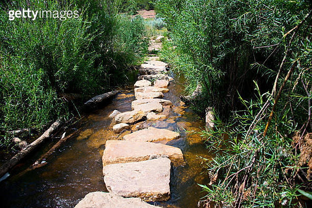 Stepping Stone Trail Footh Path through Nature 이미지 (513047737) - 게티이미지뱅크