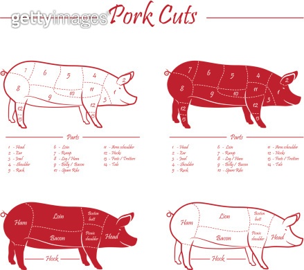 PORK MEAT CUTS SCHEME 이미지 (478523041) - 게티이미지뱅크
