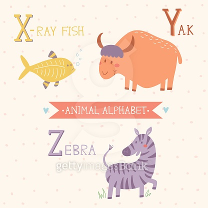 Animal Alphabet. X-ray fish, Yak, Zebra 이미지 (521621579) - 게티이미지뱅크