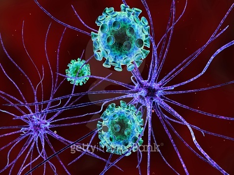 3d illustration of viruses attacking nerve cells 이미지 (522205477) - 게티이미지뱅크