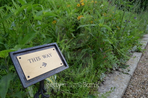 This way sign. 이미지 (496471853) - 게티이미지뱅크