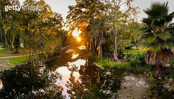 Stone Bridge Over Swamp, City Park New Orleans 이미지 (492886914) - 게티이미지뱅크