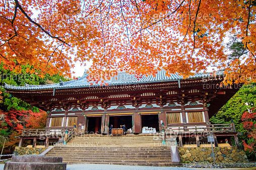 Jingo-ji At fall, Japan 이미지 (499261345) - 게티이미지뱅크