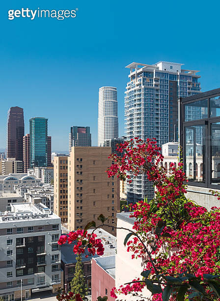 Downtown Los Angeles Spring Rooftop Garden 이미지 (467744130) - 게티이미지뱅크