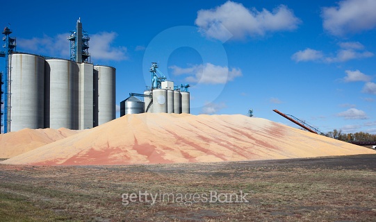grain storage overflow 이미지 (485833990) - 게티이미지뱅크