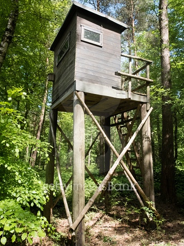 hunting shack for Bird Watching built in the forest 이미지 (474871482 ...